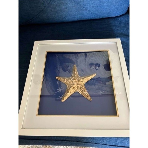 Source Unknown | Art | Gold Leaf Starfish Mounted In A Navy Shadow Box ...